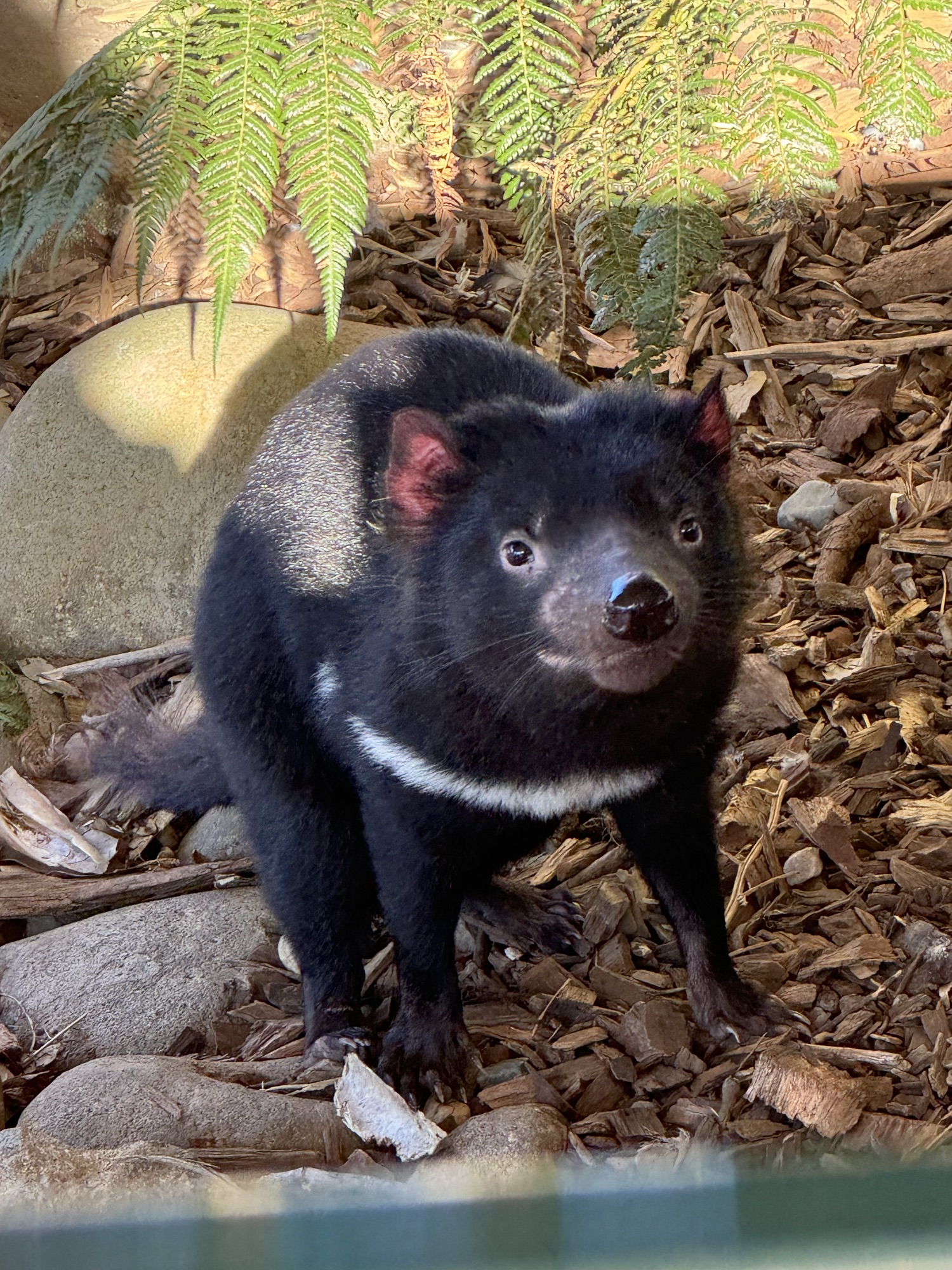 Wildlife, Waterfalls, and Wine – Jim and Cory’s Adventures