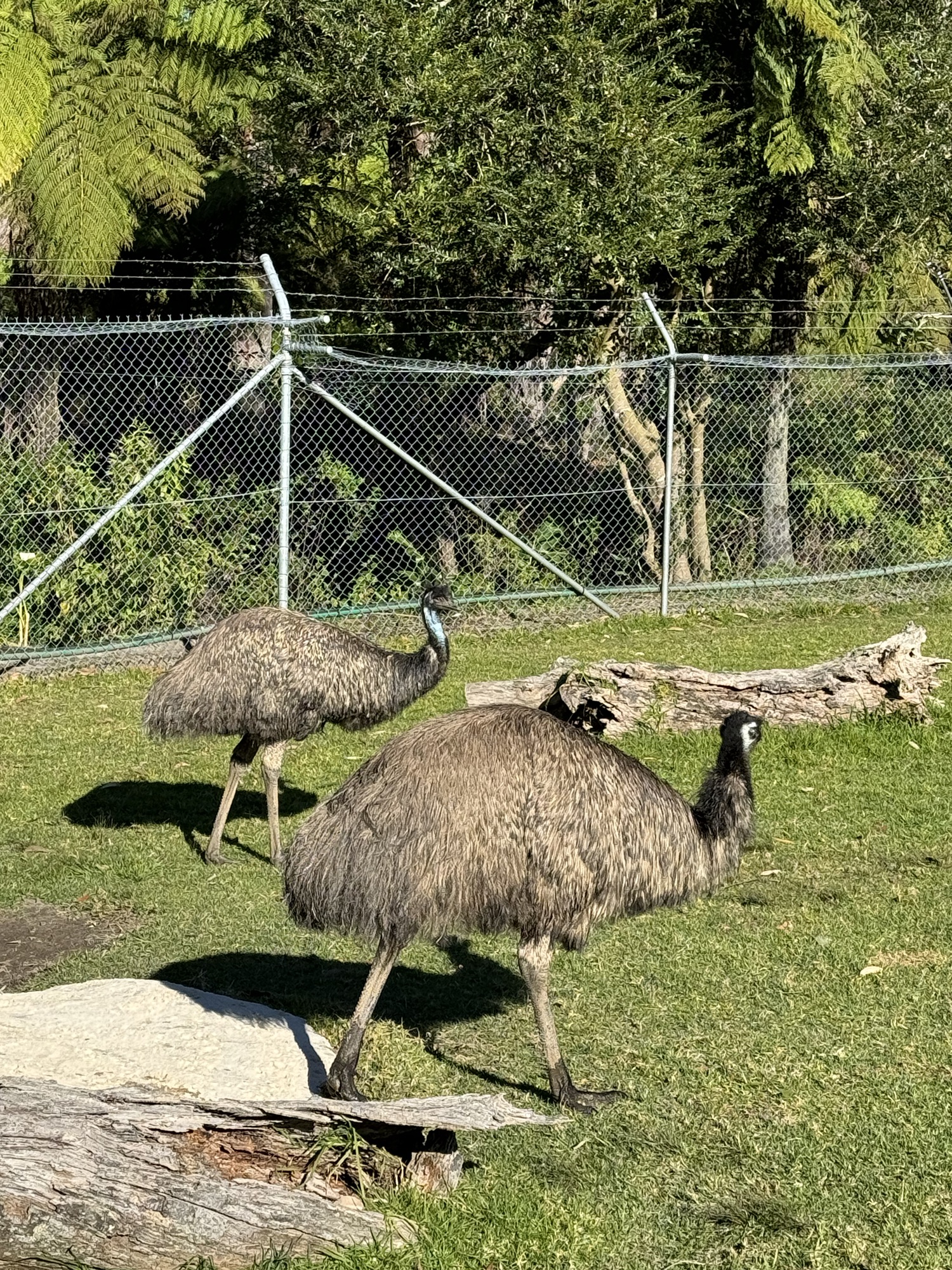 Wildlife, Waterfalls, and Wine – Jim and Cory’s Adventures
